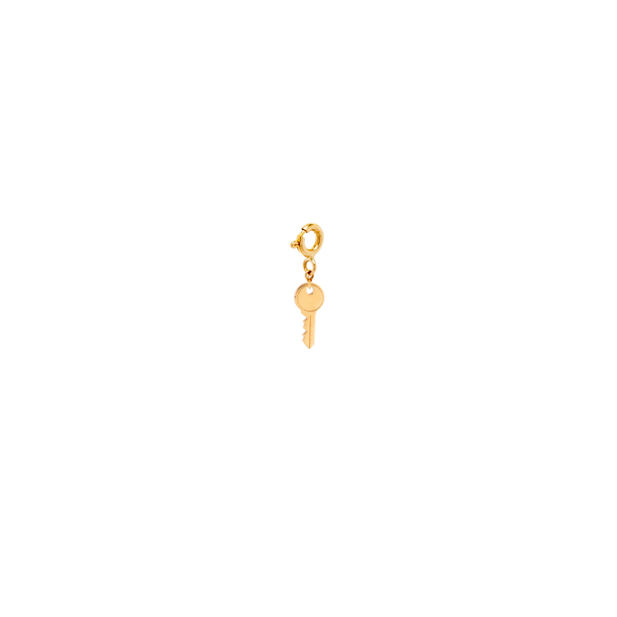 Zoë Chicco 14kt Gold Midi Bitty Key Charm Pendant – ZOË CHICCO